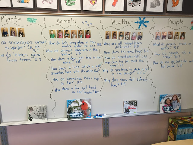 A Kindergarten Inquiry: Investigating Winter - Roots and Wings