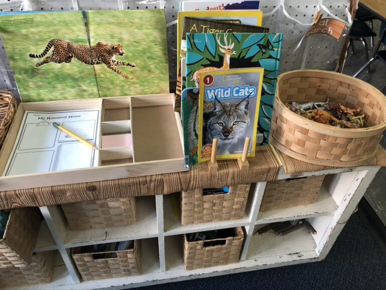 Animal Research Projects in Kindergarten Step-by-Step