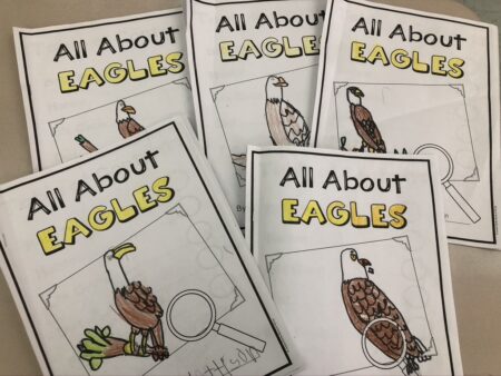 Animal Research Projects in Kindergarten Step-by-Step