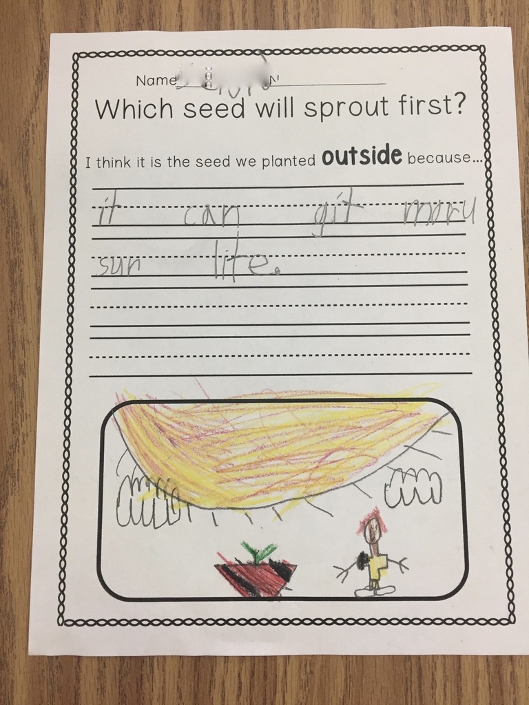 Kindergarten Plant Unit: An Inquiry-Based Approach - Roots and Wings
