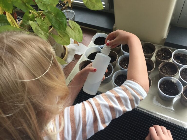Kindergarten Plant Unit: An Inquiry-Based Approach - Roots and Wings