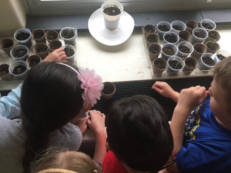 Kindergarten Plant Unit: An Inquiry-Based Approach - Roots and Wings