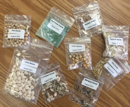 Kindergarten Plant Unit: An Inquiry-Based Approach - Roots and Wings