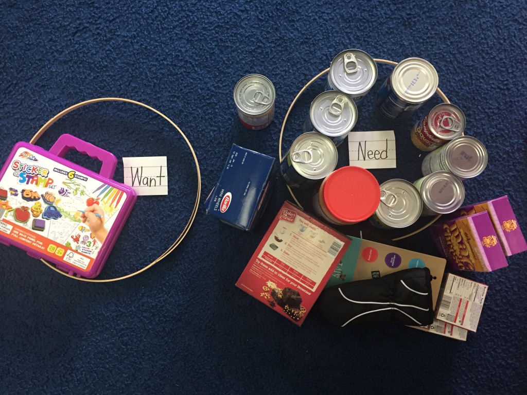 Exploring Needs and Wants in Kindergarten - Roots and Wings