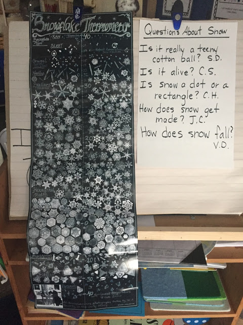 Exploring Precipitation (and Going Deeper with Snow!) - Roots and Wings