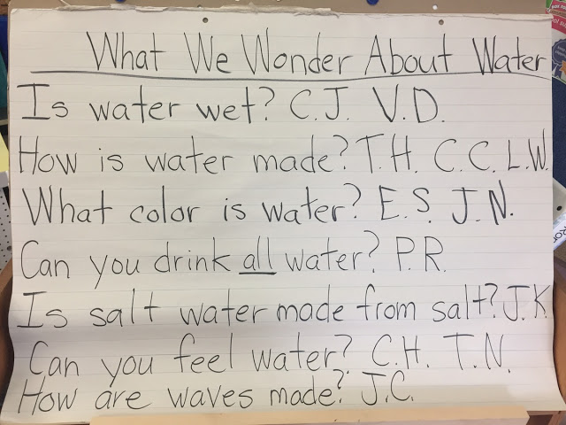Growing Our Thinking Around Matter - Roots and Wings
