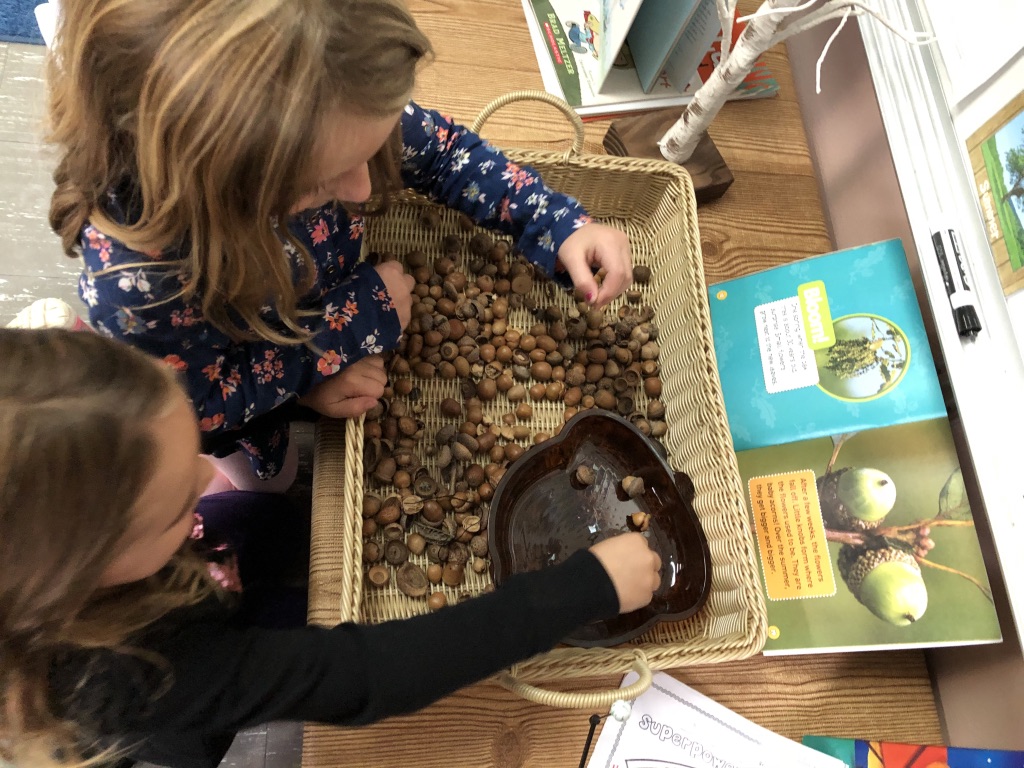 A Fall Nature Walk: Before, During, & After Activities - Roots and Wings