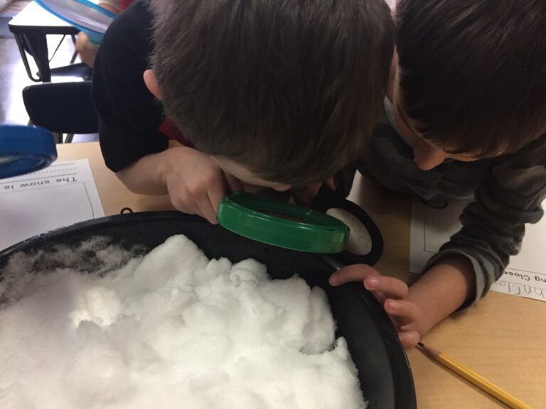 Kindergarten Inquiry and Project Work Across the Seasons