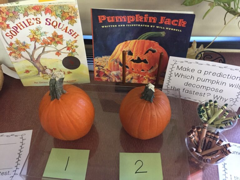 Kindergarten Inquiry and Project Work Across the Seasons