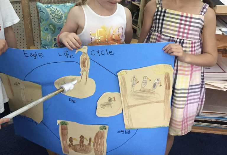 Animal Research Projects in Kindergarten Step-by-Step